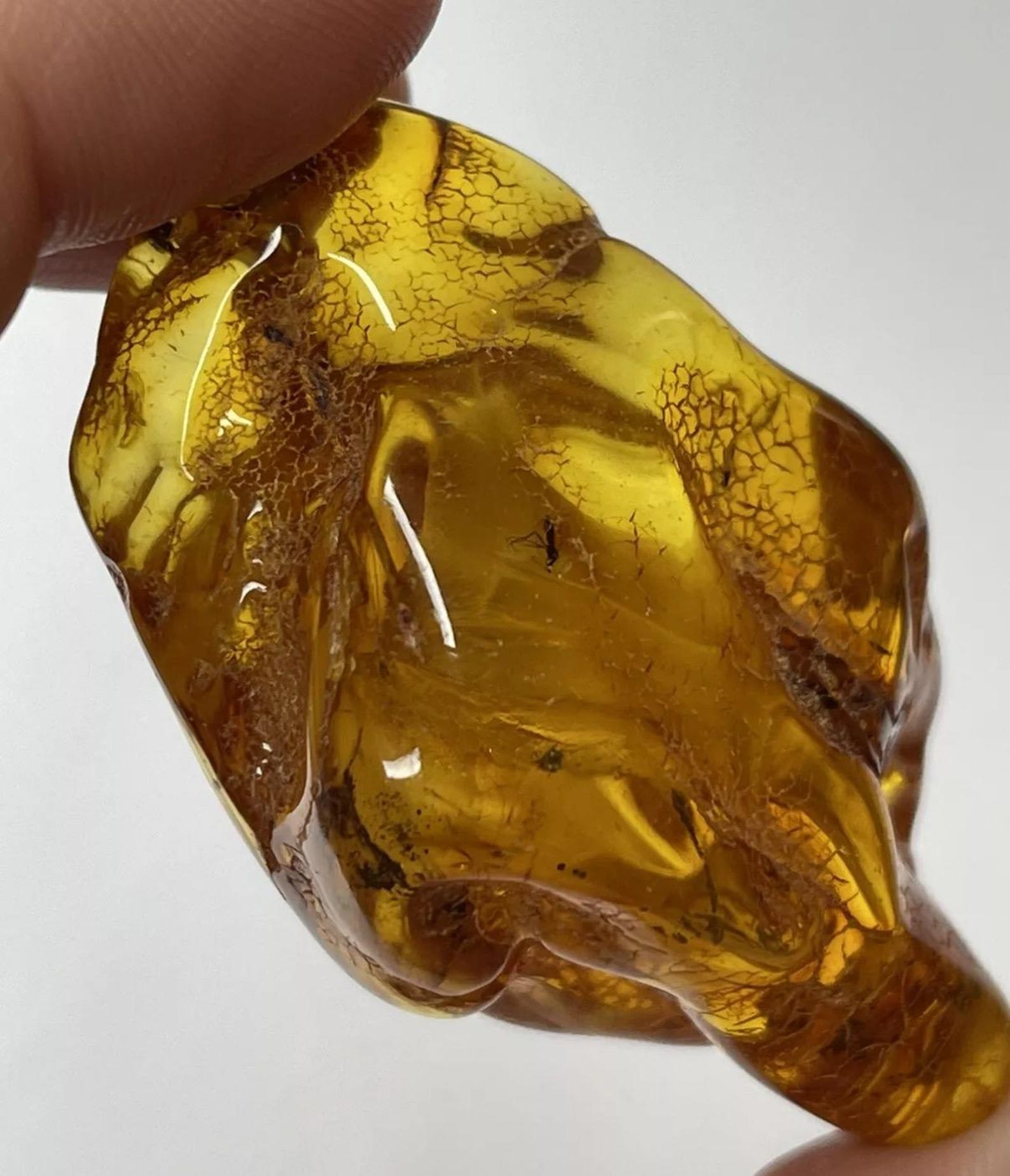 Amber Stone With Insect.inclusions in Amber.fossil Inclusion in Baltic ...