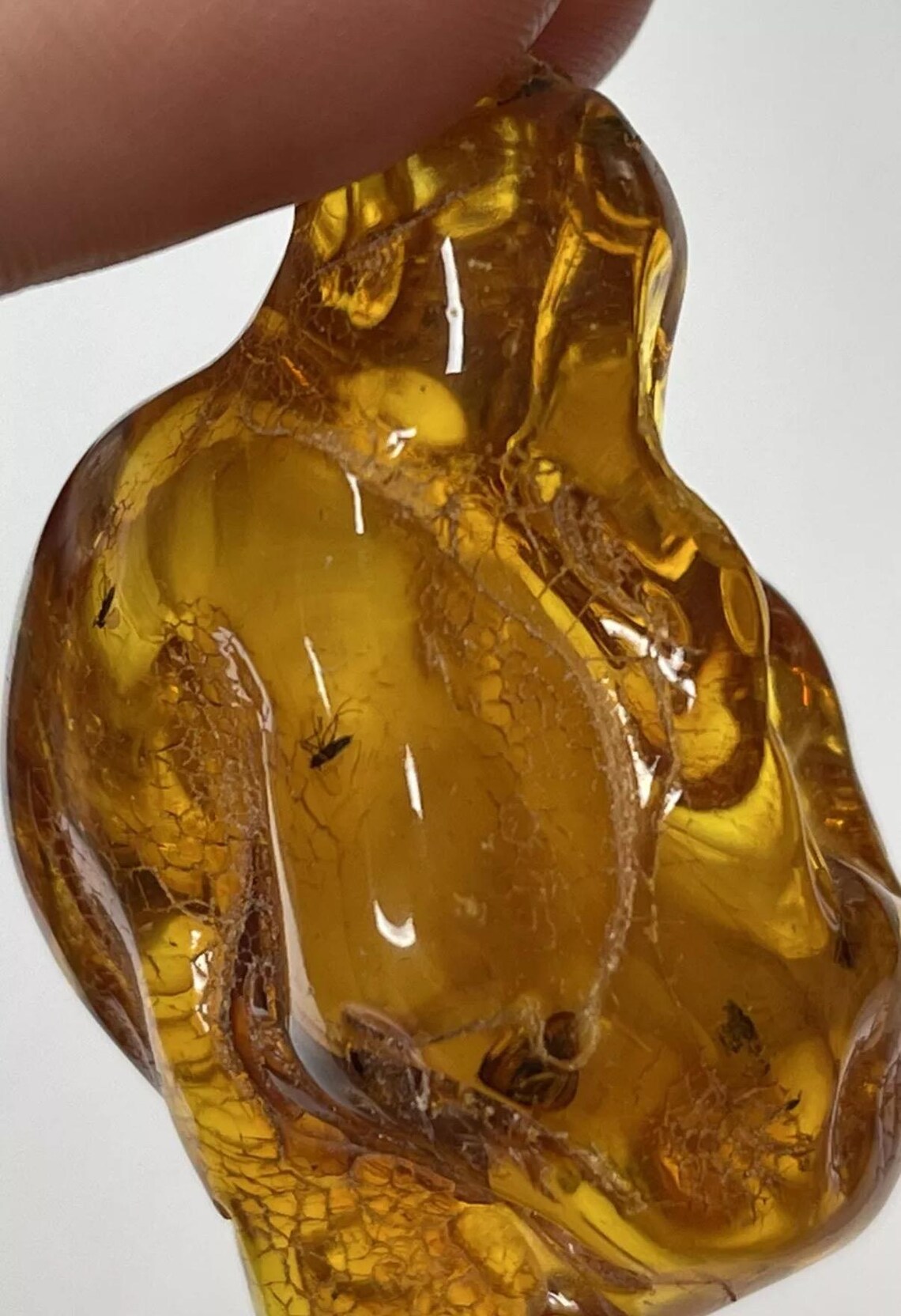Amber Stone With Insect.inclusions in Amber.fossil Inclusion in Baltic ...