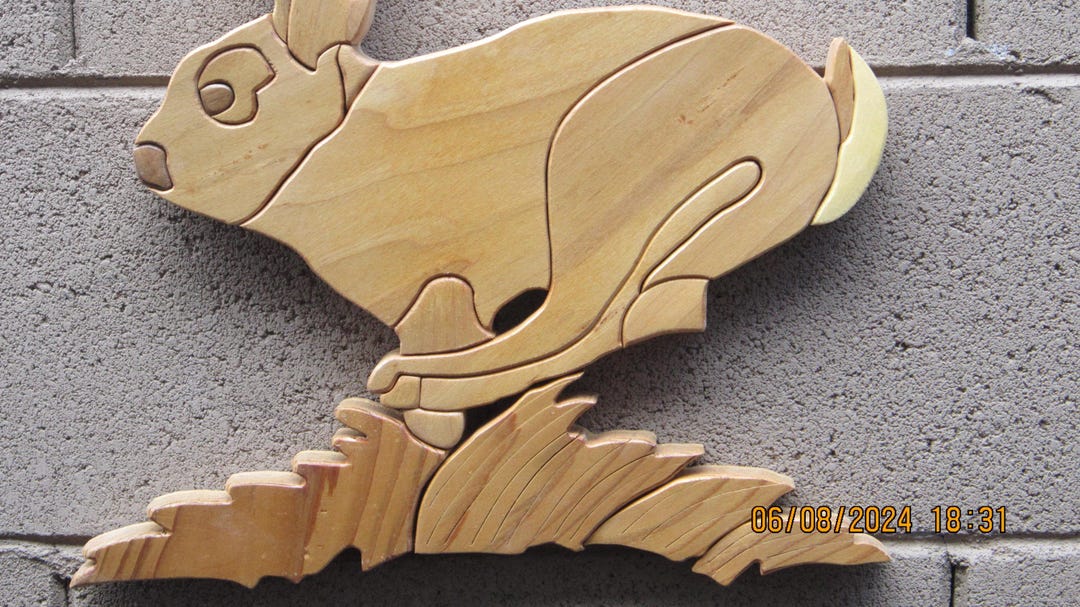 Cotton Tail Rabbit 4592 - Etsy