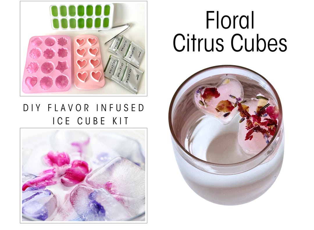 DIY Floral Citrus Ice Cube Kit 3 Tray, Flavor Infused Ice Cubes ...