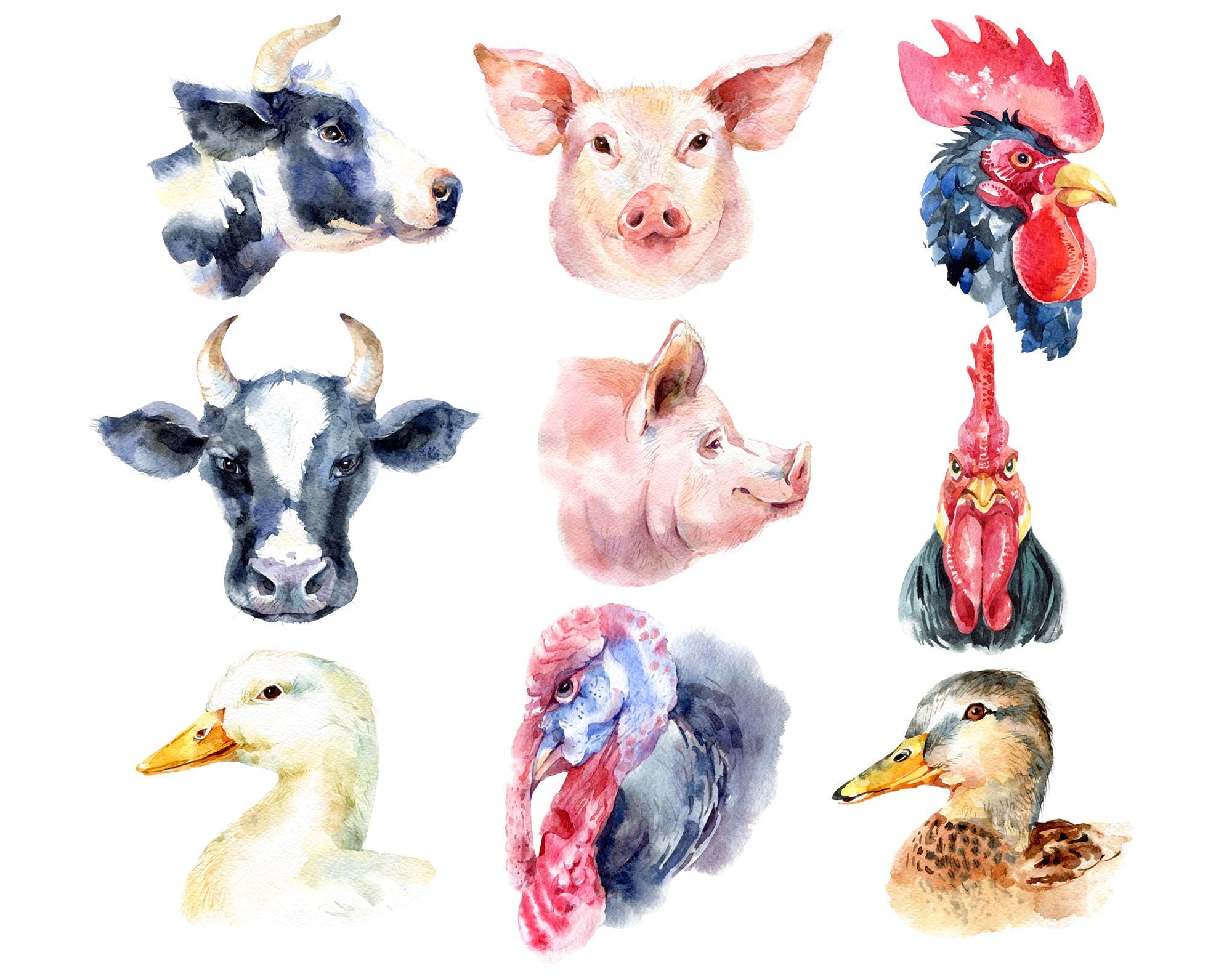 Watercolor Farm Animals Clip Art, Hand Drawn Clipart, Cow Png, Pig Png ...