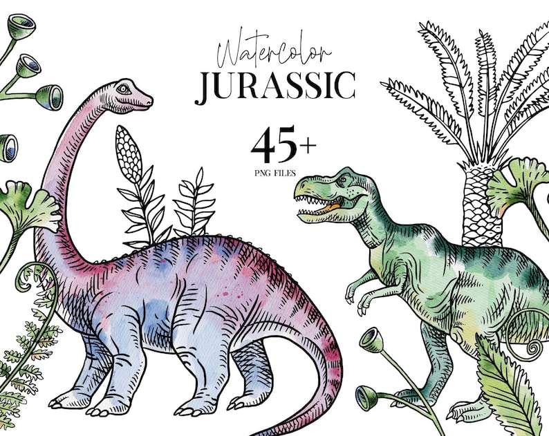 Watercolor Dinosaurs Hand Drawn Png Clipart, Stegosaurus, Tyrannosaur ...
