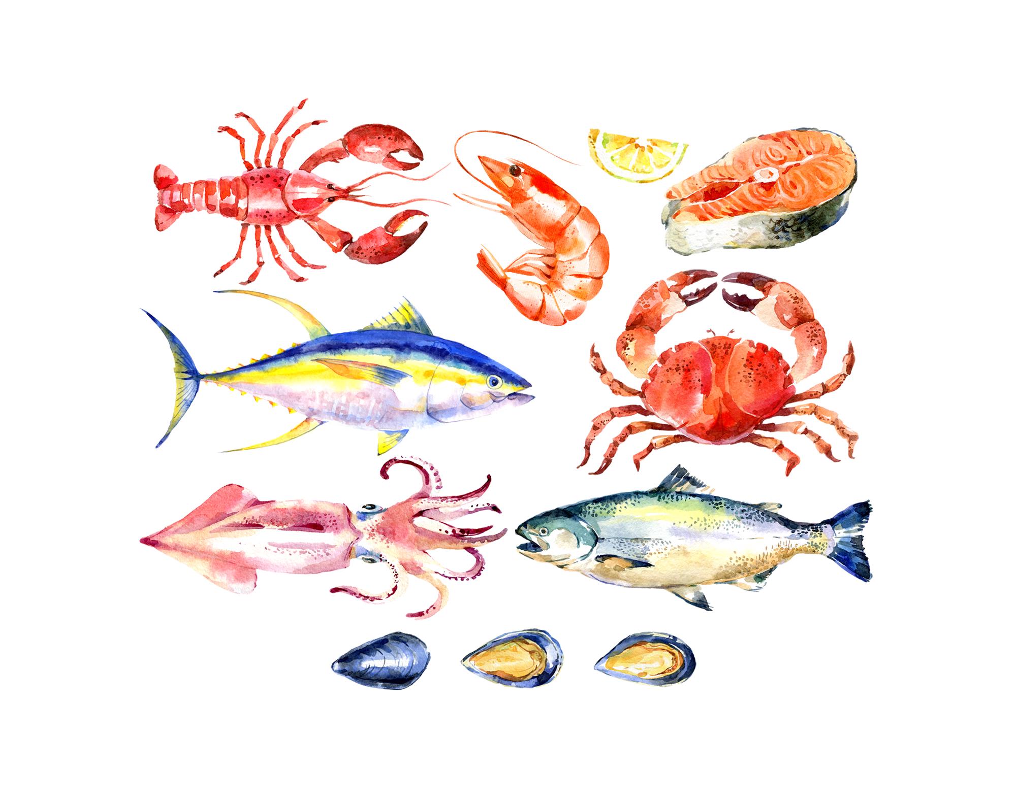 Watercolor Seafood Clip Art, Sea Food Clipart, Crab, Shrimp, Fish ...