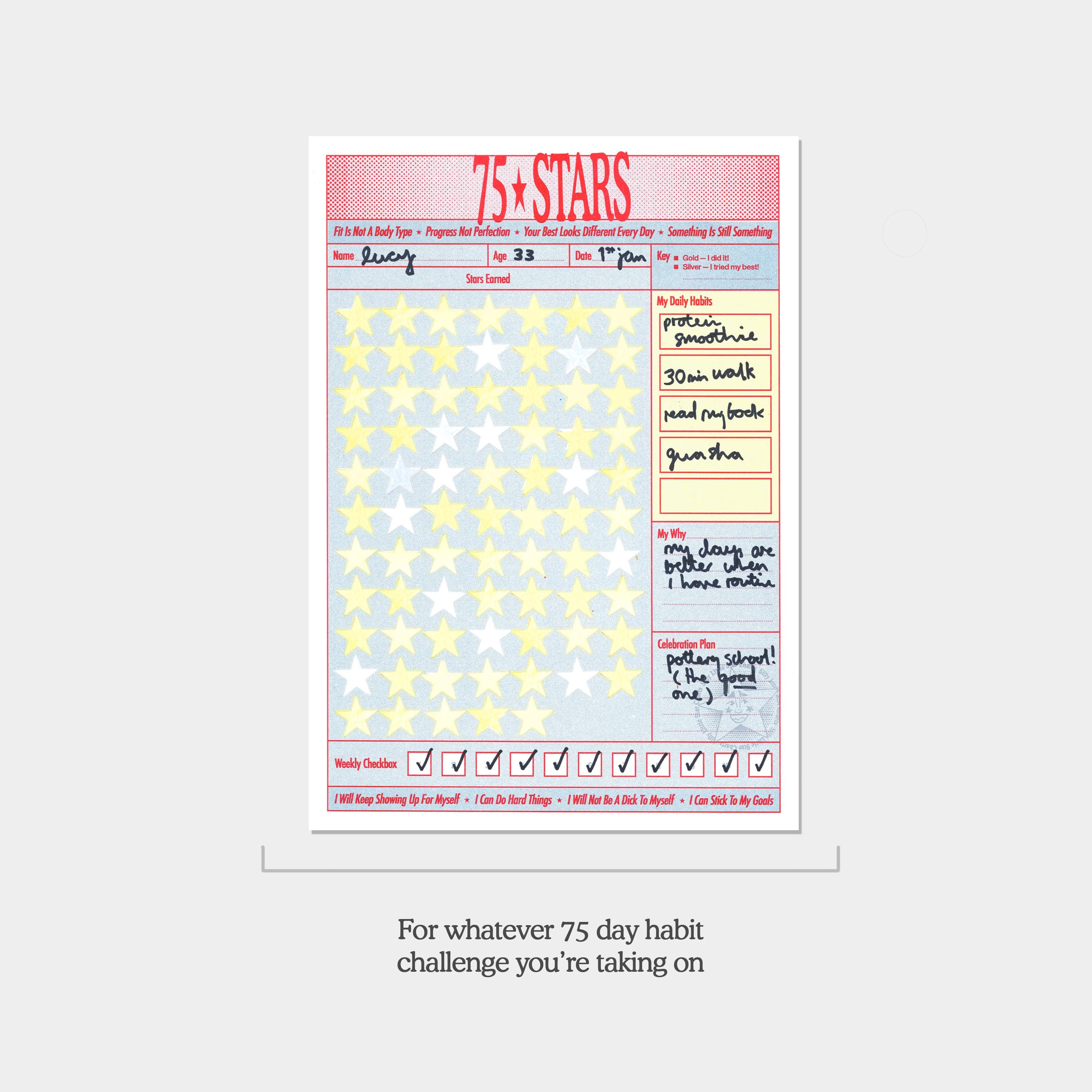 75 Day Habit Tracker Star Chart: Daily Progress Stickers & Magnet - Etsy