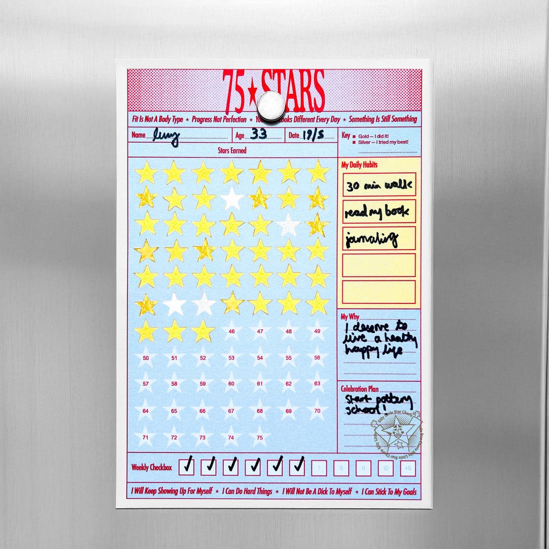 75 Day Habit Tracker Star Chart: Daily Progress Stickers & Magnet - Etsy