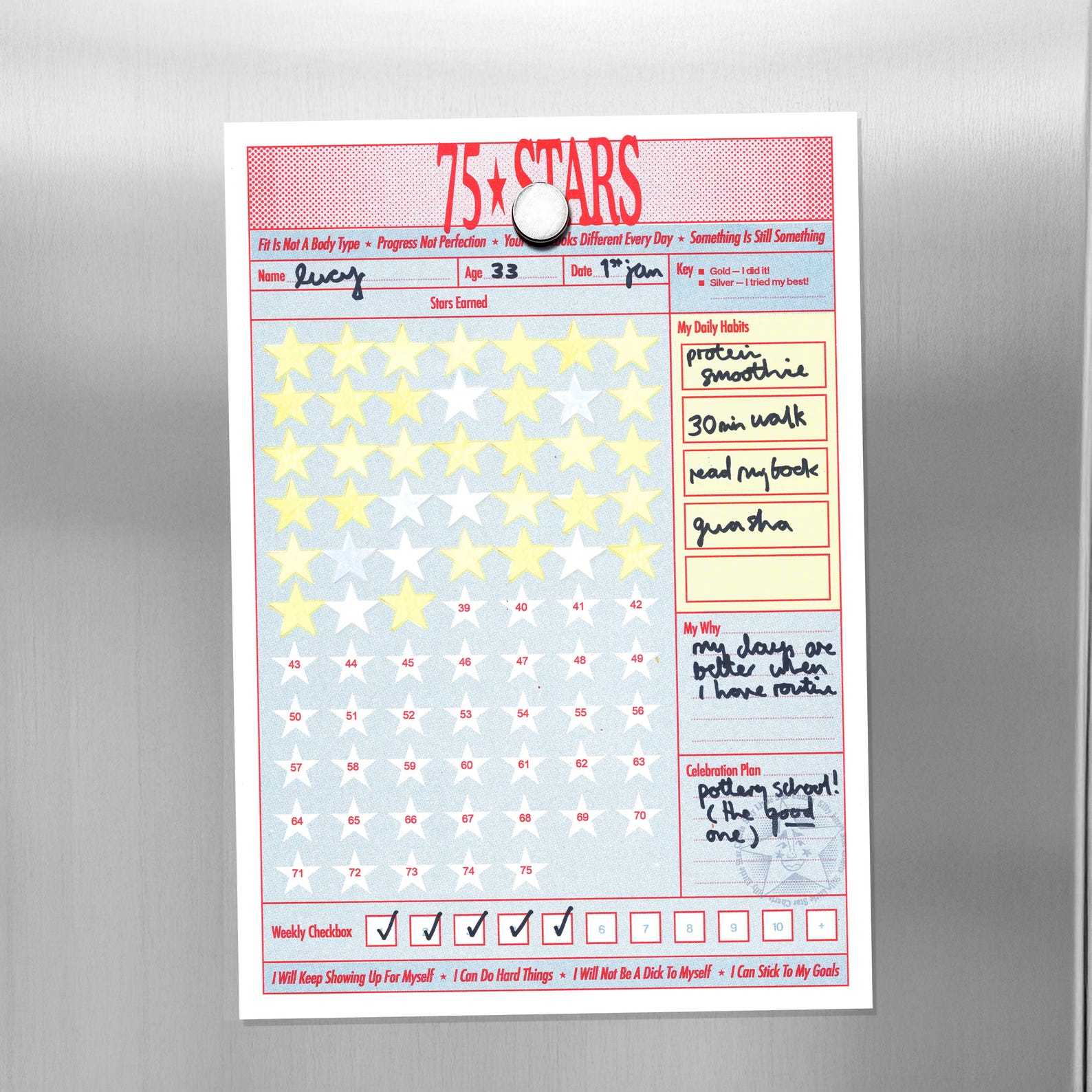 75 Day Habit Tracker Star Chart: Daily Progress Stickers & Magnet - Etsy