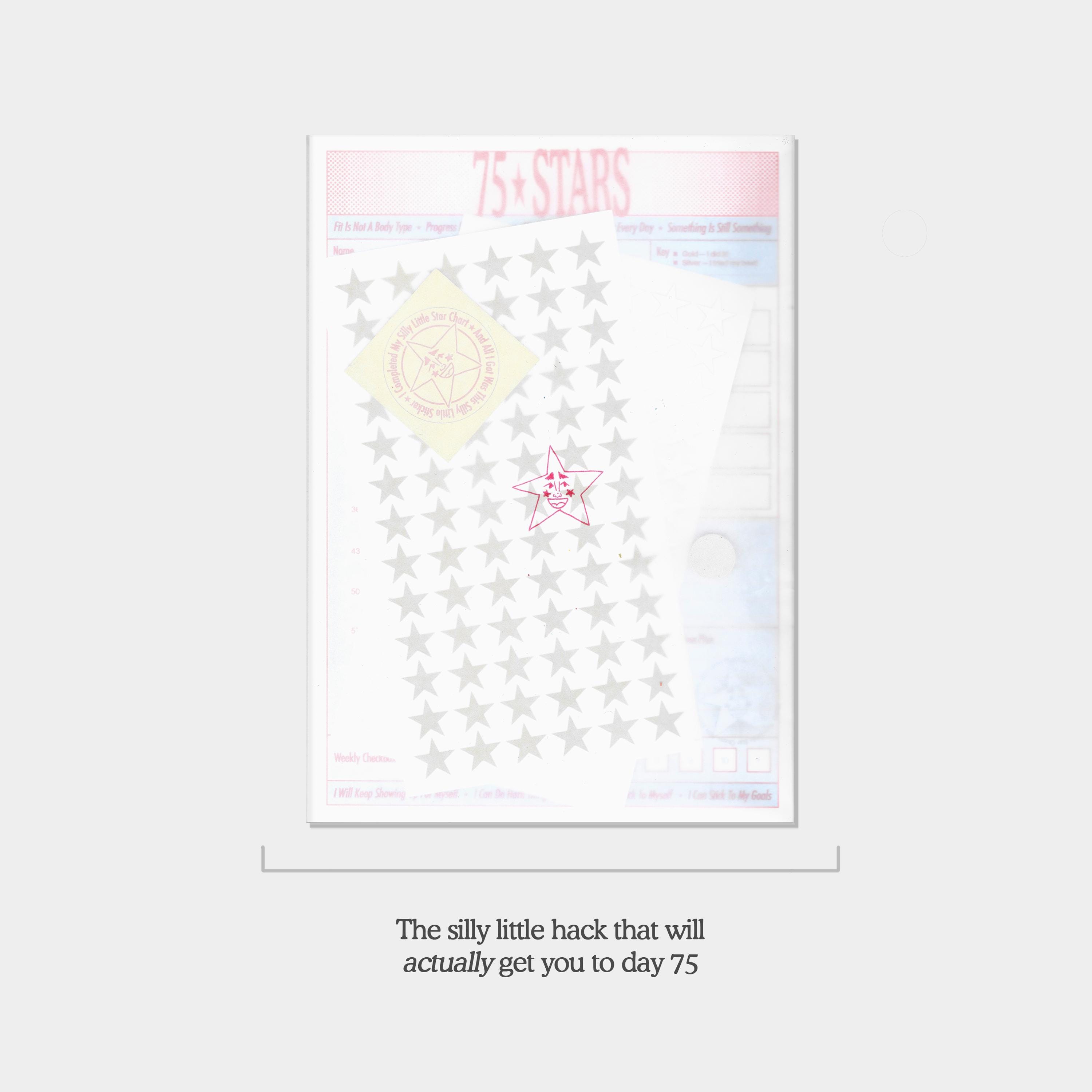 75 Day Habit Tracker Star Chart: Daily Progress Stickers & Magnet - Etsy