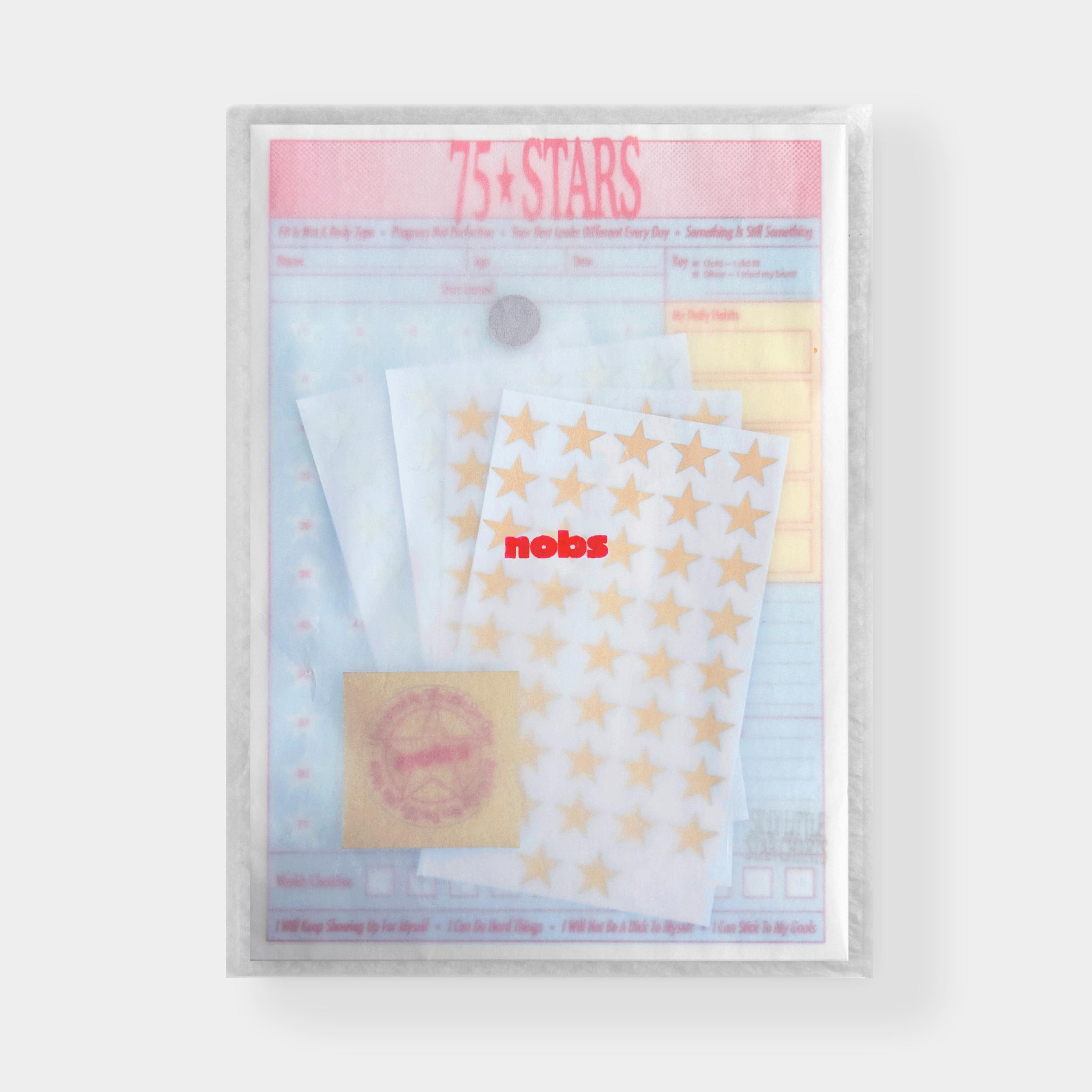 75 Day Habit Tracker Star Chart: Daily Progress Stickers & Magnet - Etsy