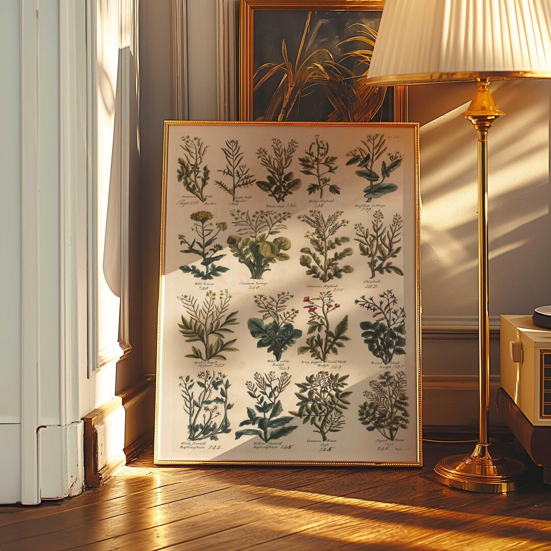 Vintage Botanical Illustration Poster | Antique Herbarium Art Print ...