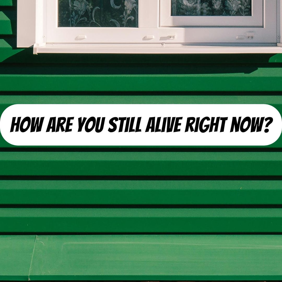 How Are You Still Alive Right Now? Funny Quote Stickers, Disbelief ...