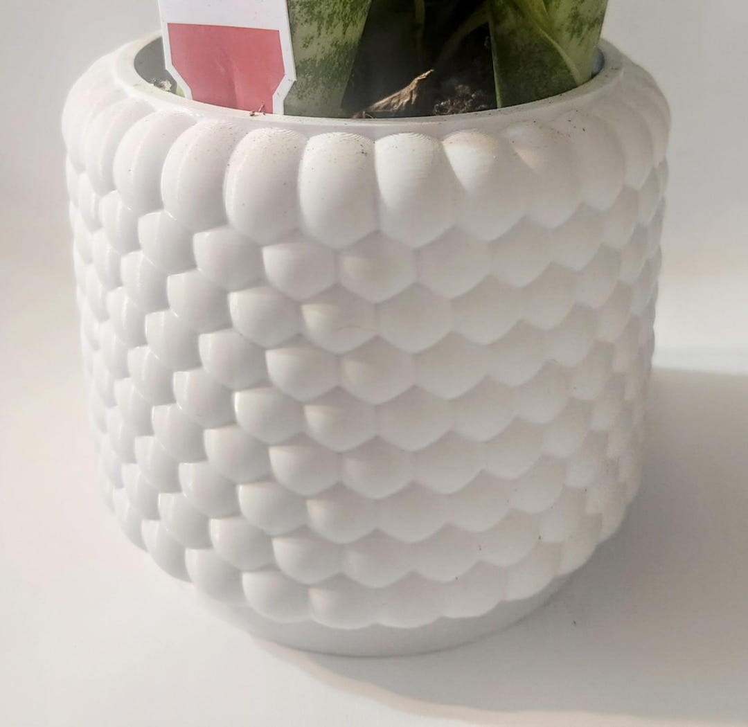 Textured Dot Planter With Drainage in White, Unique 3d-printed Plant ...
