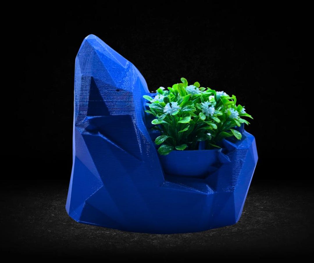 Shark Planter Pot - Etsy