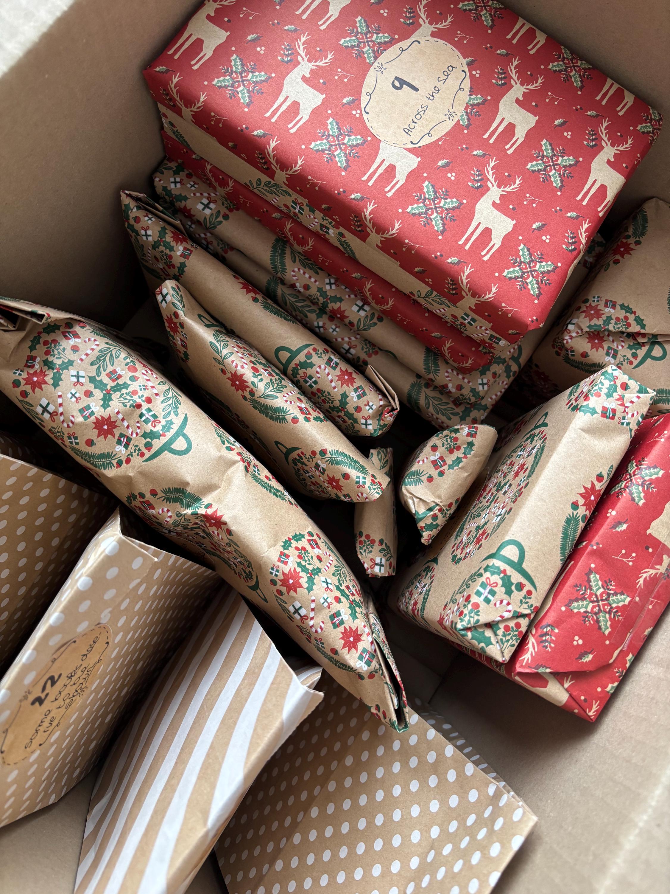 BOOKISH ADVENT CALENDAR 2025 | Christmas Gift Box | Book Lover Gift Box ...