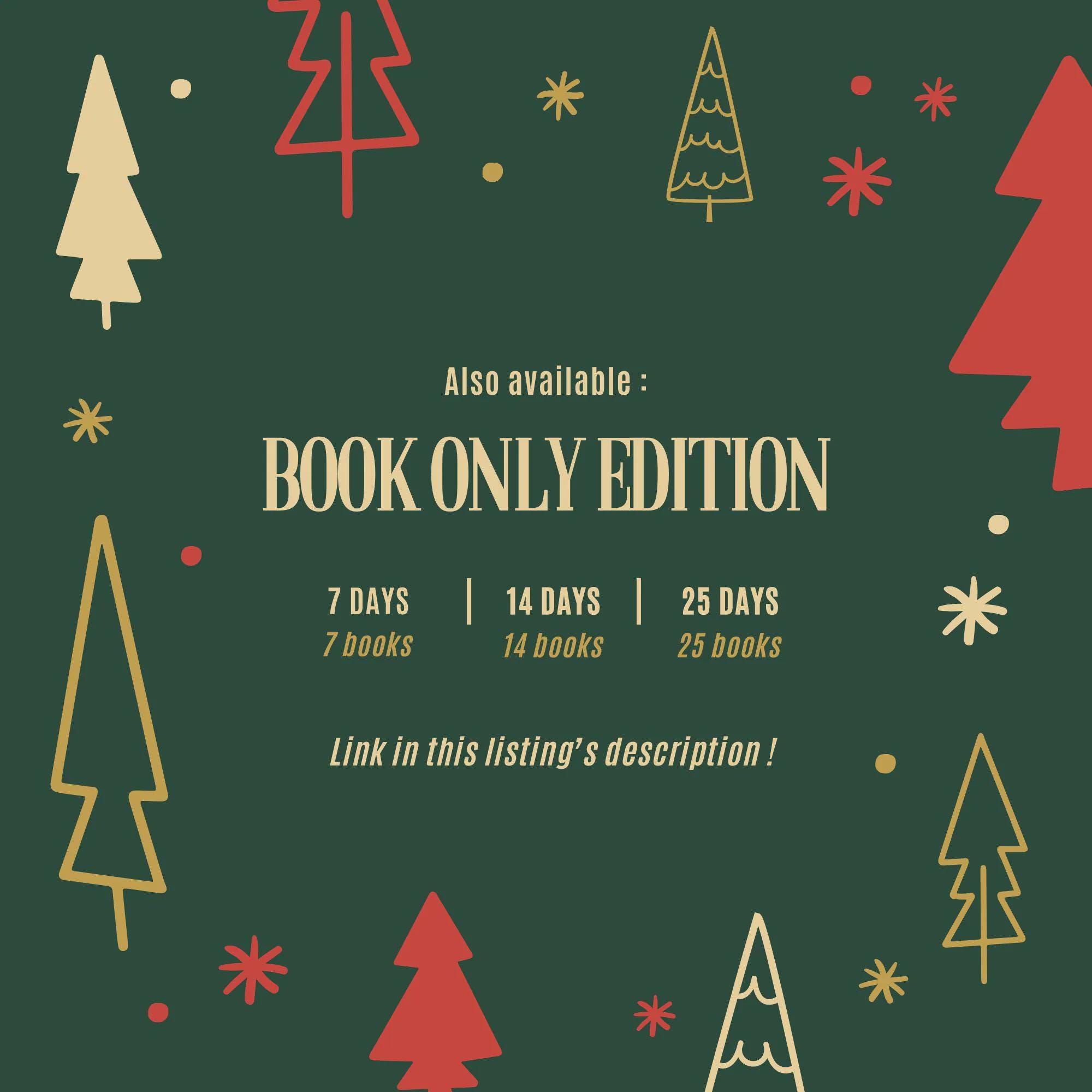BOOKISH ADVENT CALENDAR 2025 | Christmas Gift Box | Book Lover Gift Box ...