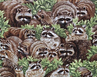 Raccoon Fabric Raccoons by Taraput Raccoon Trash Panda Cute Woodland ...