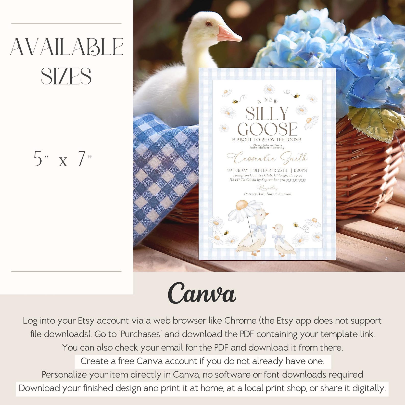 Silly Goose Baby Shower Invitation Blue Gingham Daisy Goose Canva ...