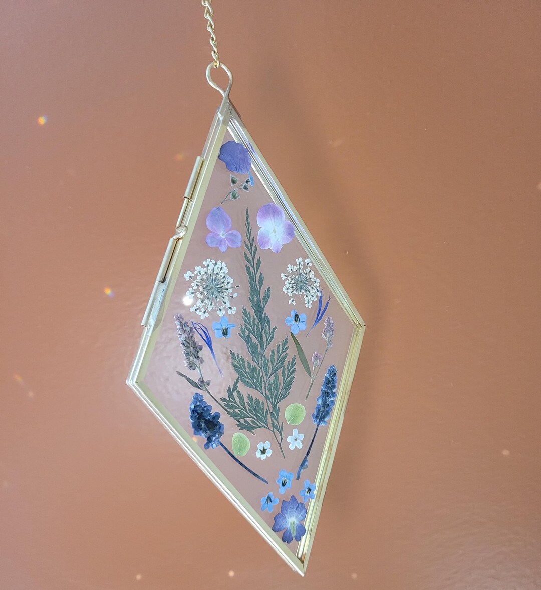 Double Glass Framed Pressed Flower Wall Hanging | Real Botanical Art ...