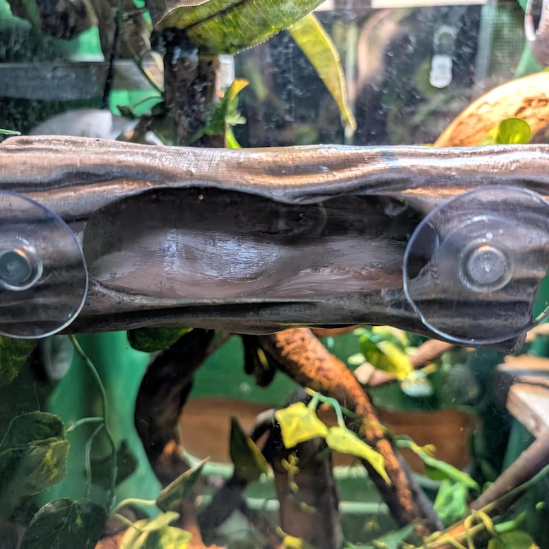 3d Background for Snakes - Etsy UK