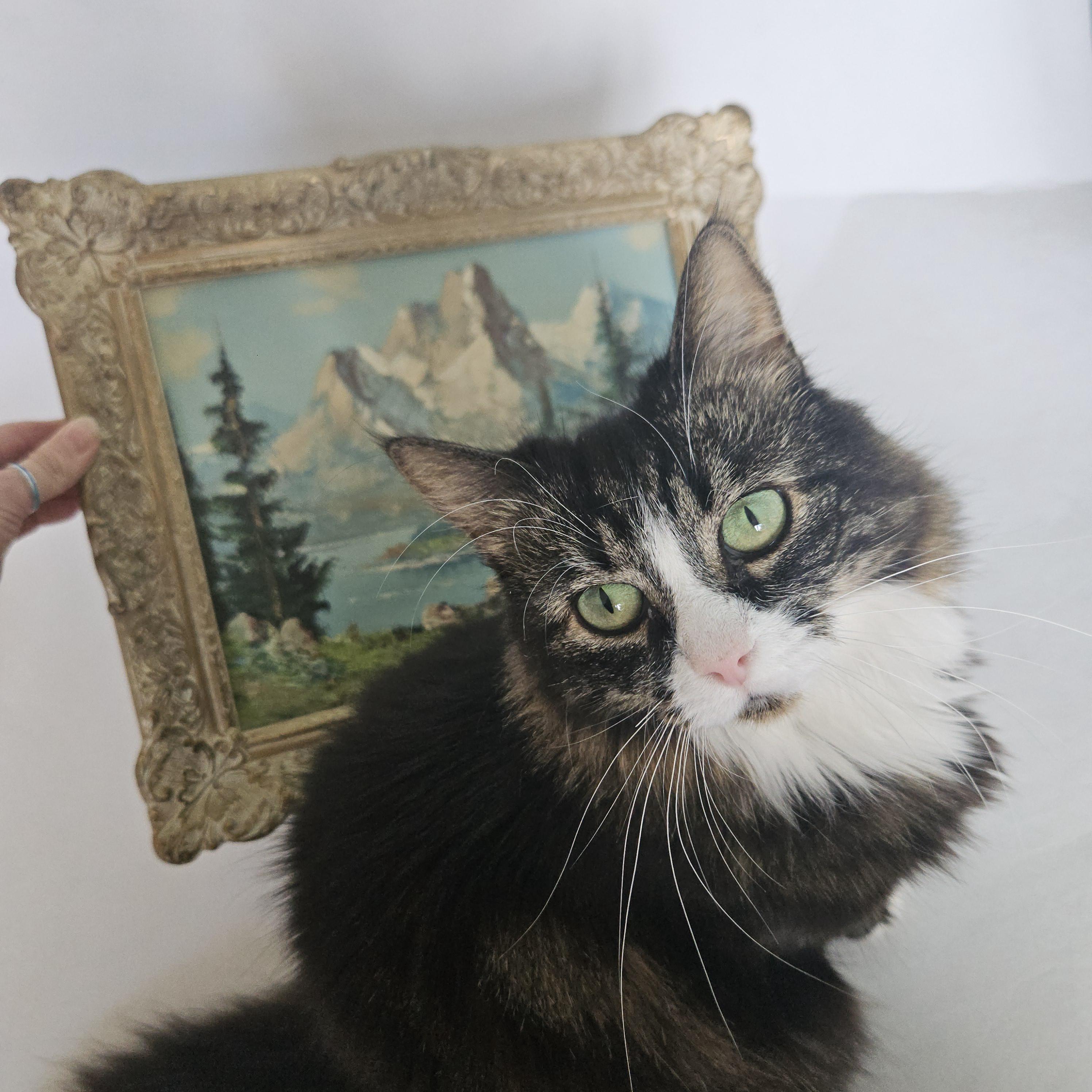Vintage Hand-painted Mountain Landscape in Ornate Gold Frame (37 Cm X ...