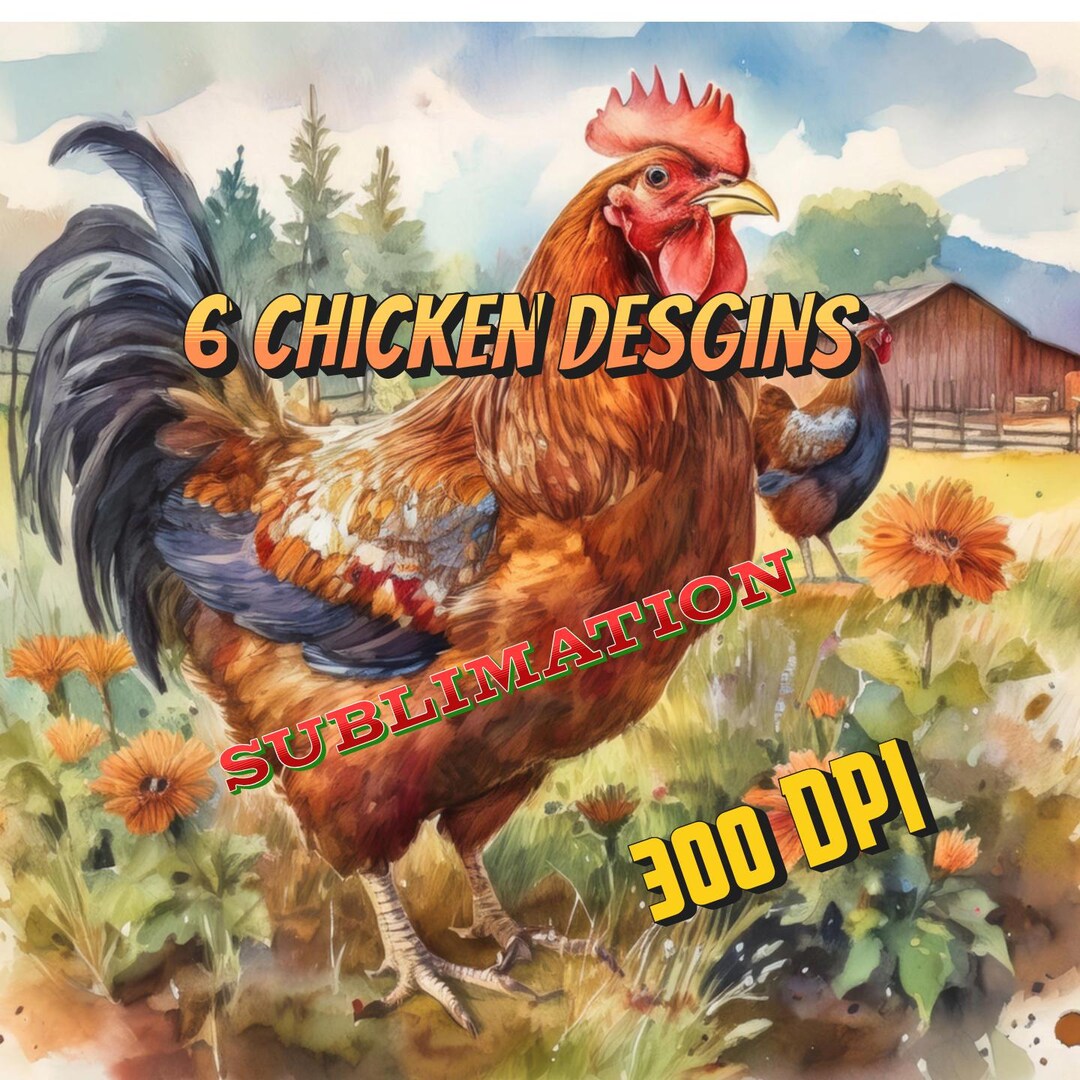 6 Chicken Sublimation Designs, Farm, Animal, Png, Watercolor ...