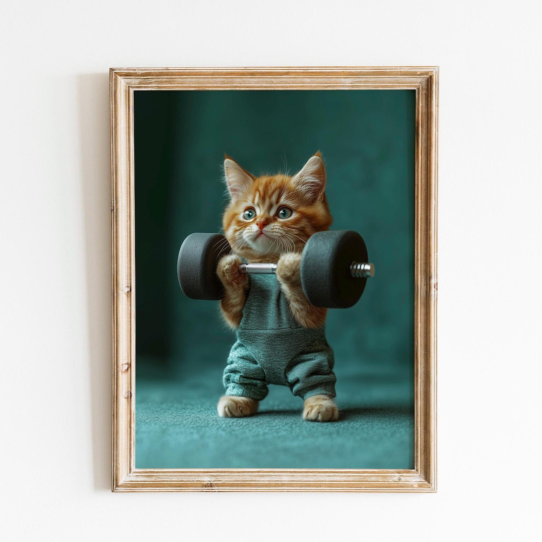 Workout Wall Art Funny Cat Fitness Room Decor Gift Exercise Sign Gym ...