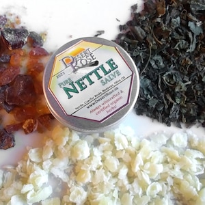 Pure Stinging Nettle Salve: .5 or 1 Fl Oz Wildcrafted Herbal ...