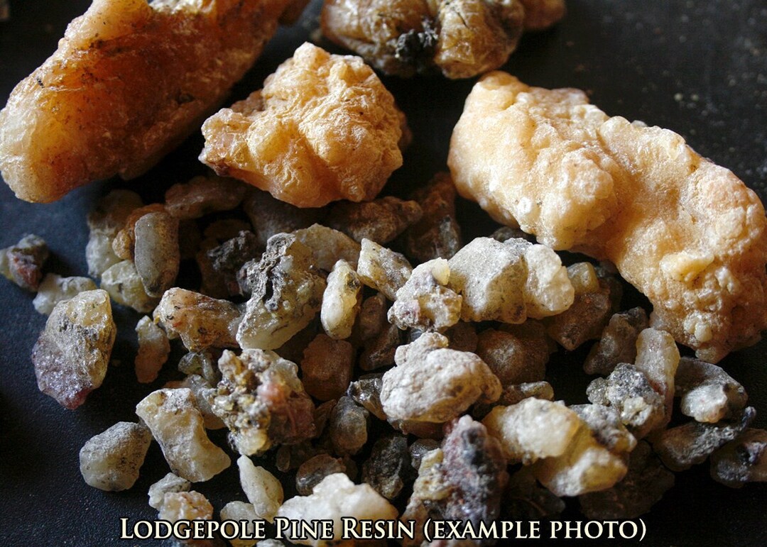 16oz / 1lb Hard Lodgepole Pine Tree Resin - Naturally Cured, Raw ...