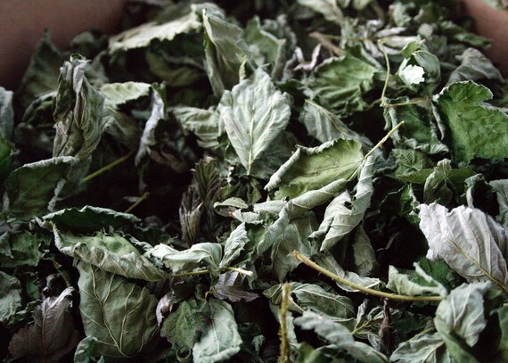 Dried Raspberry Leaves 1 Ounce Loose Leaf Raspberry Leaf Tea (Rubus ...