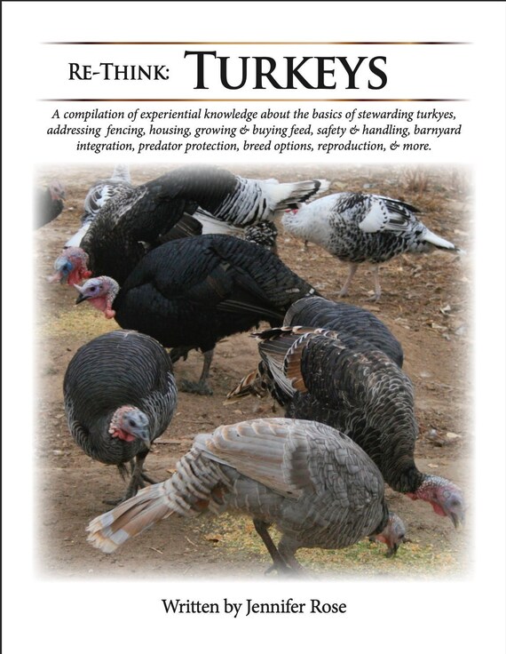 Re-think: Turkeys the Basics of Stewarding Turkeys an - Etsy Canada