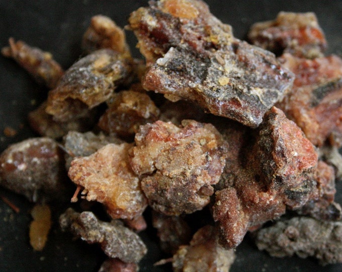 16oz. Hard Engelmann Spruce Tree Resin Naturally Cured, Raw Organic ...