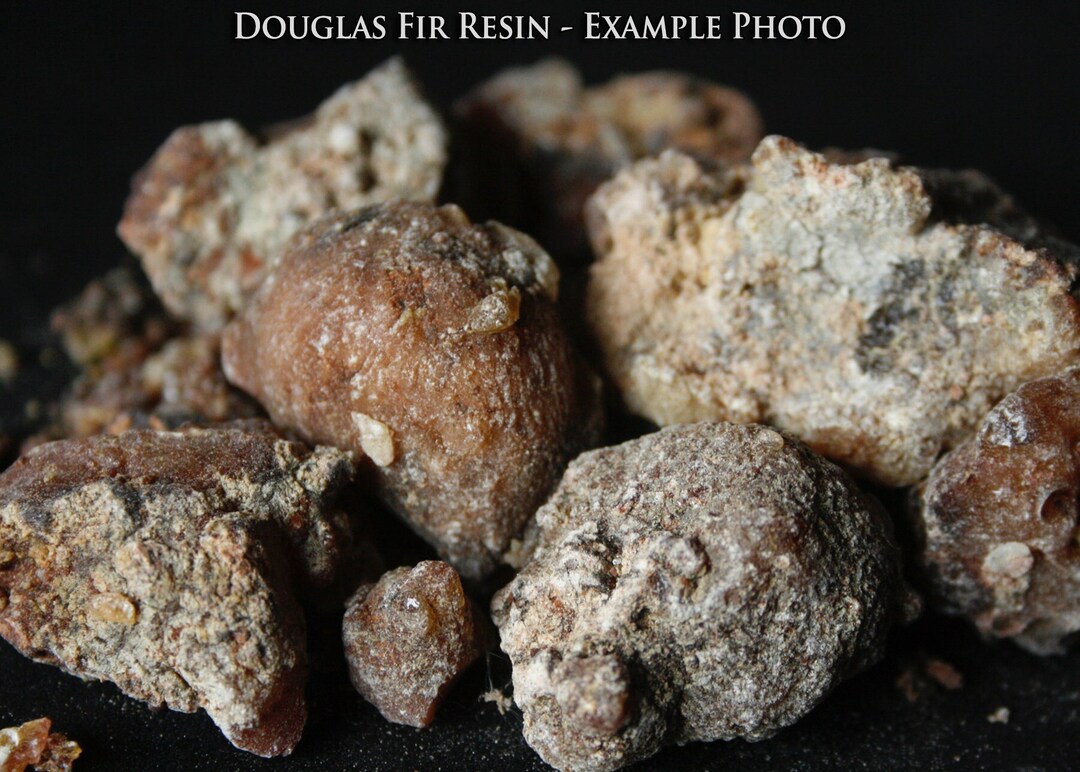 2oz. 60g Hard Douglas Fir Tree Resin Tree Resin Cured, Raw, Organic ...