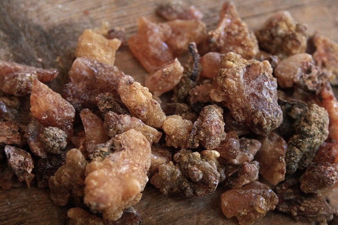 16oz. / 1lb Hard Ponderosa Pine Tree Resin - Naturally Cured, Raw ...