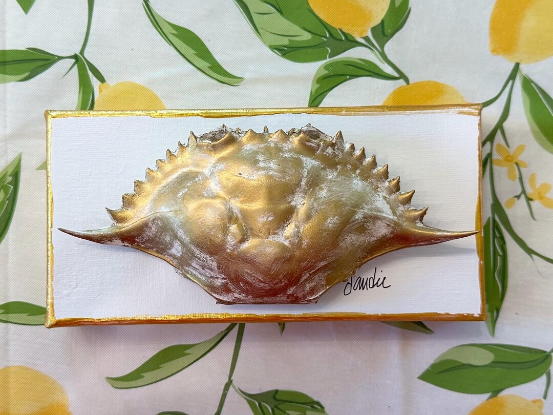 Louisiana Crab Shell Art: Gold Coastal Bayou Decor, 8x4 Canvas - Etsy