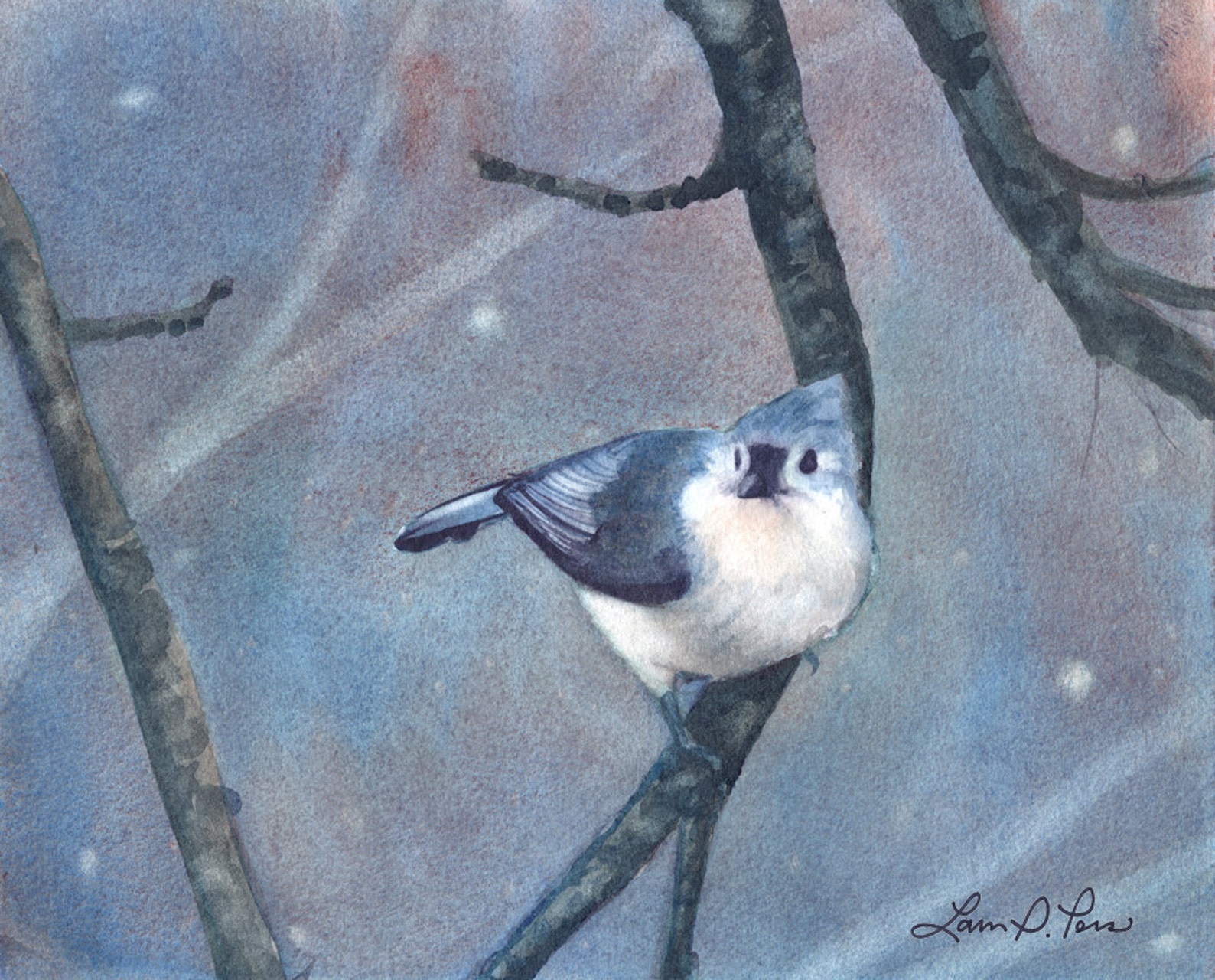 2 Sizes Watercolor Print of a Titmouse From a Painting by - Etsy