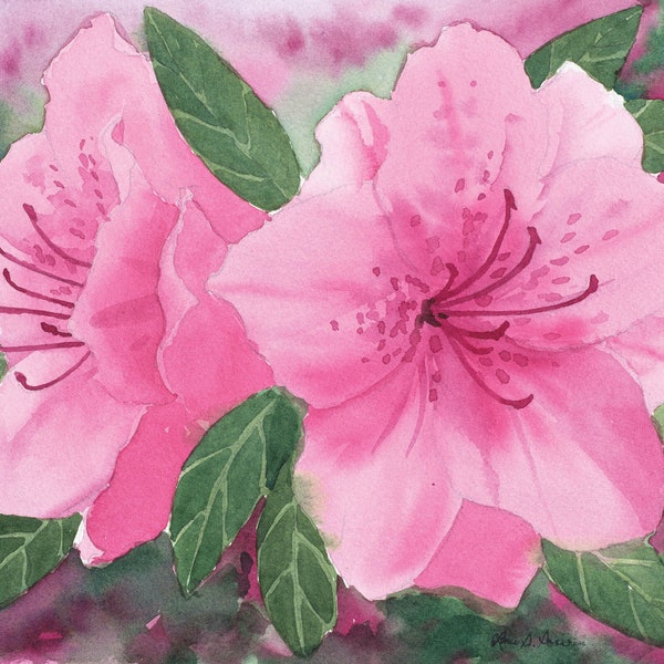 Watercolor Paintings Azalea - Etsy