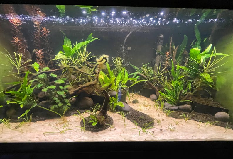 Aquarium Gravel Divider, Aquarium Gravel Barrier, Substrate Barrier ...