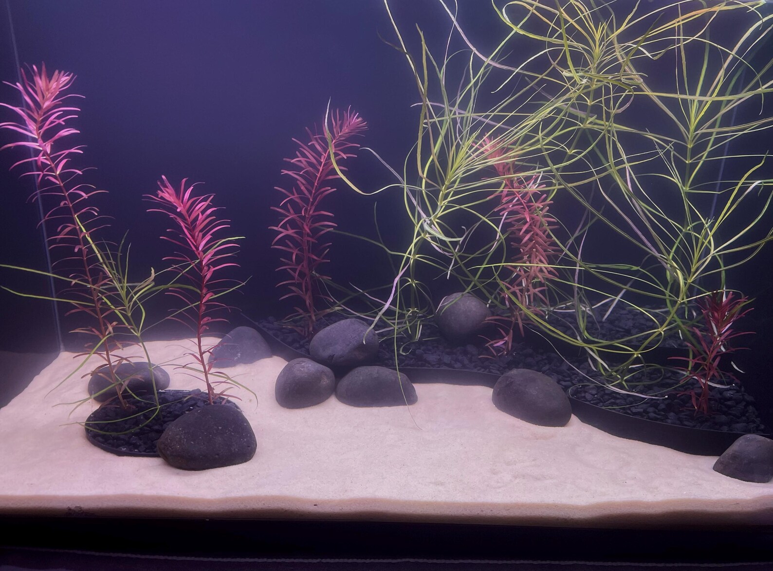 Aquarium Gravel Divider, Aquarium Gravel Barrier, Substrate Barrier ...