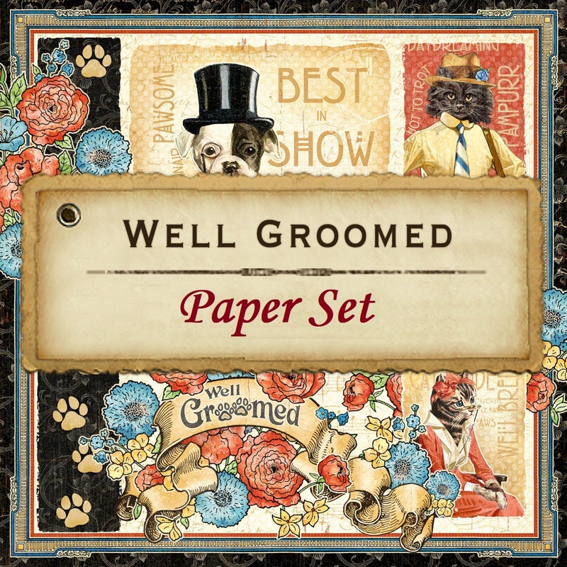 Cat Scrapbook - Etsy