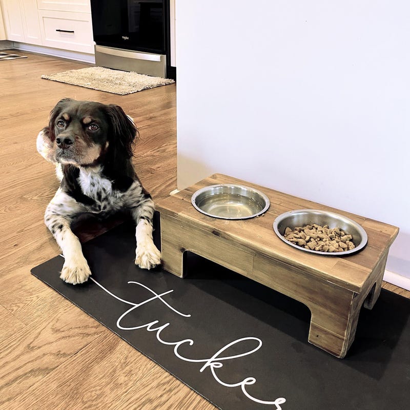 Dog Flower Feed Mat - Etsy