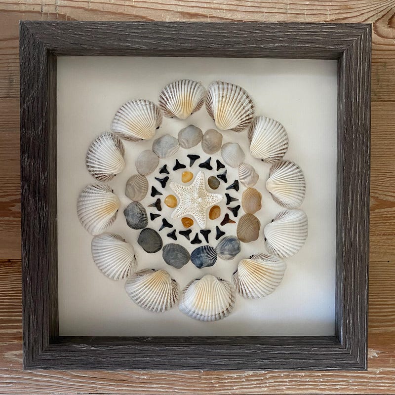 Sea Shell Art - Etsy