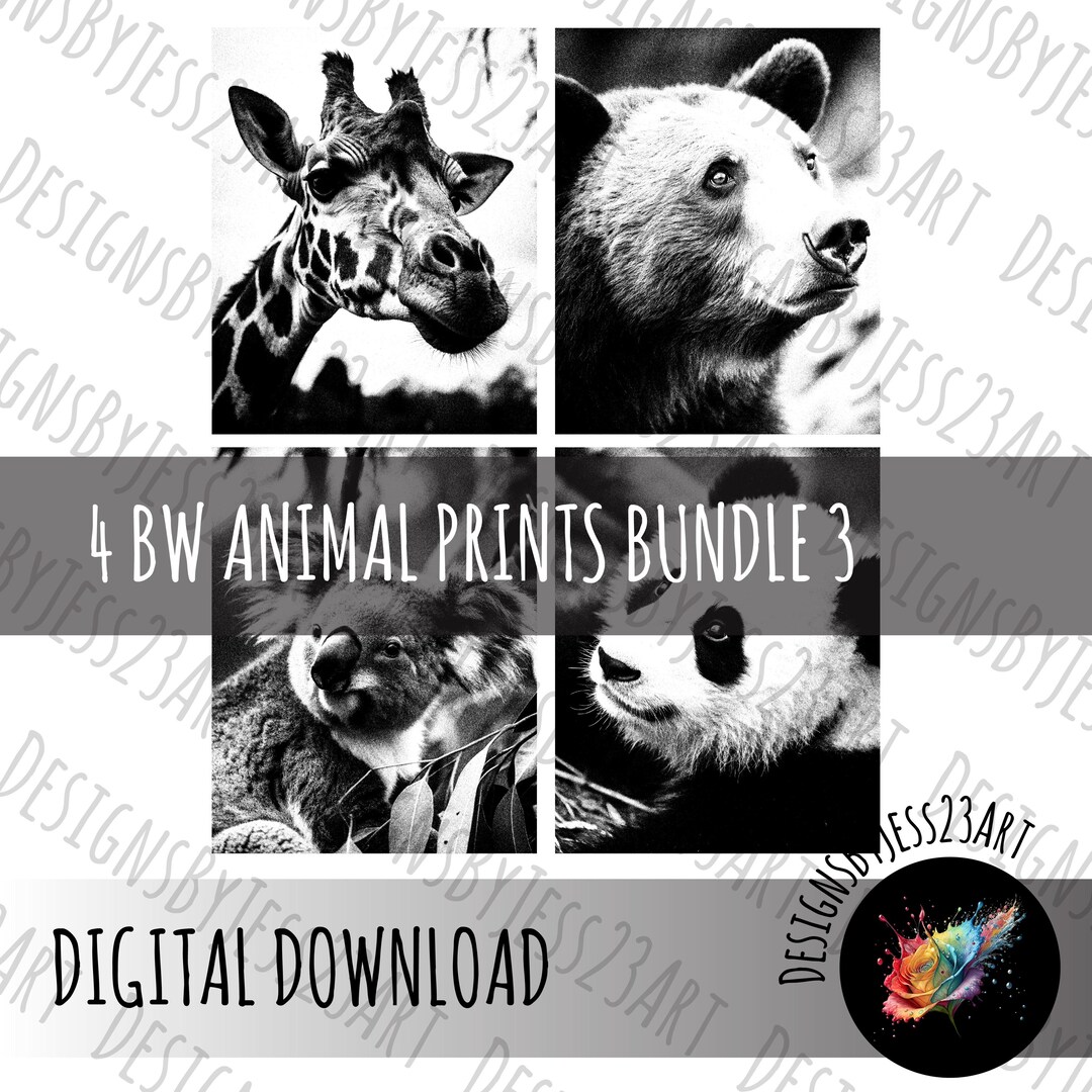4 Black White Animal Prints Wall Decor Art Bundle 3 Digital Download - Etsy