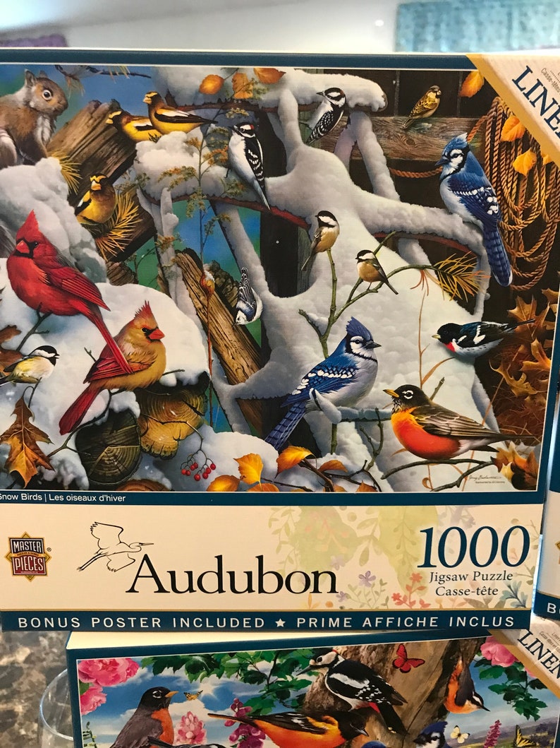 NIP Birds Audubon 1000 Piece Jigsaw Puzzle Snowbirds, Backyard Birds ...