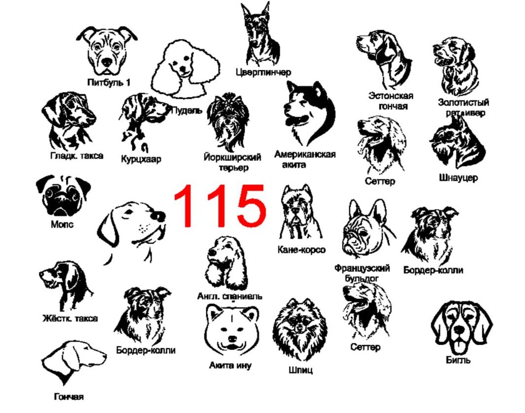 Ezcad, Laser Engraving, Dogs, Ezd Files, for Dogs - Etsy