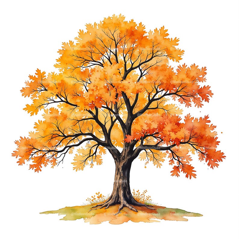 Watercolor Autumn Tree Clipart: Fall JPG Bundle (digital Download) - Etsy