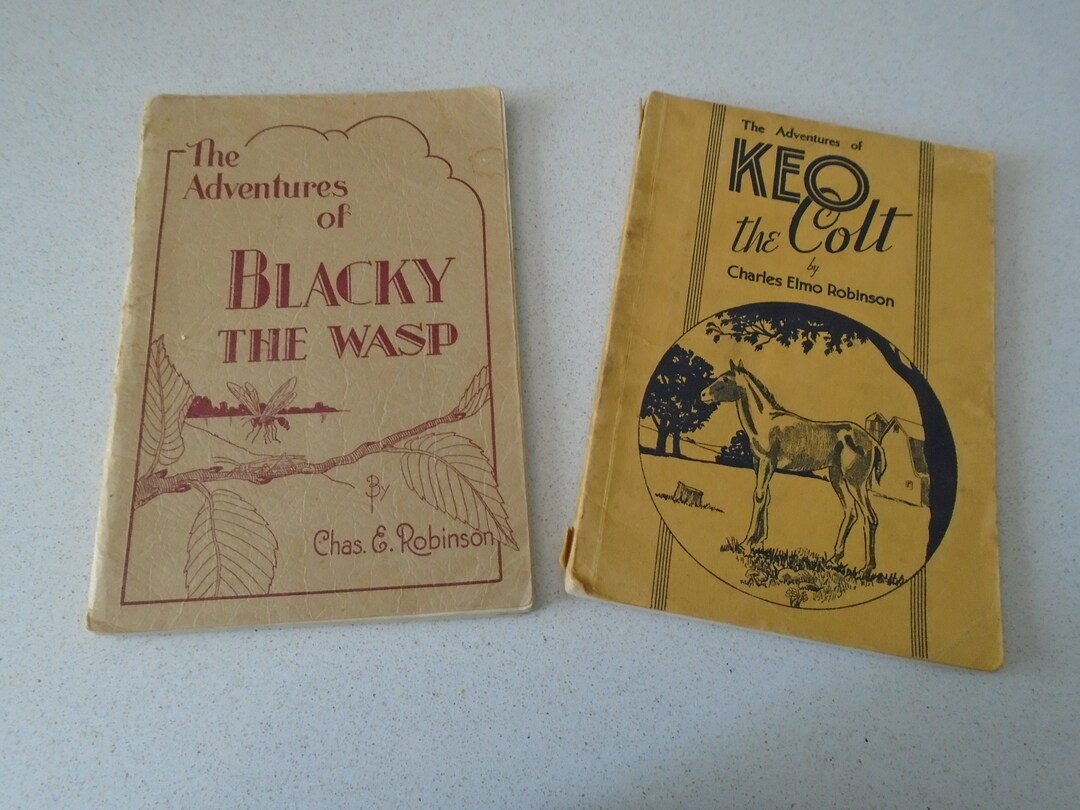 2 Charles Elmo Robinson Books Pentecostal Movement Assemblies of God ...