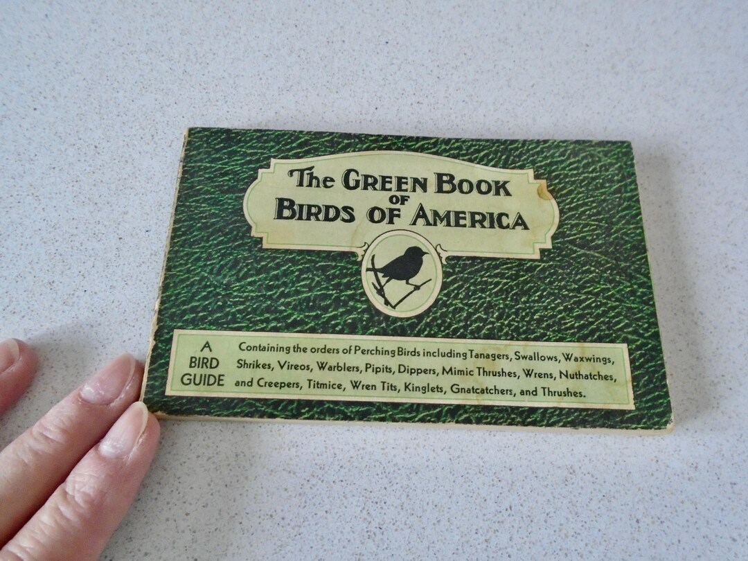 1931 the Green Book of Birds of America Whitman Publishing Co. Perching ...