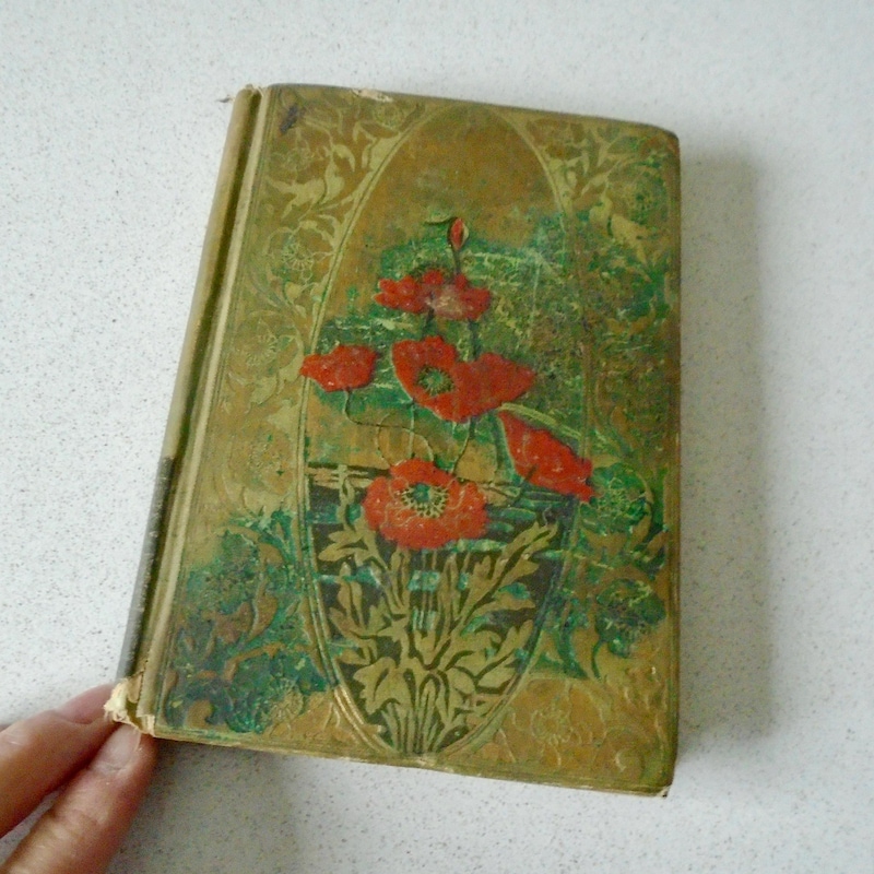 1890s Book - Etsy