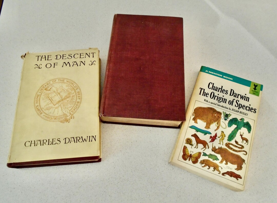 3 Charles Darwin Books Lot 1898 Life and Letters of Charles Darwin ...