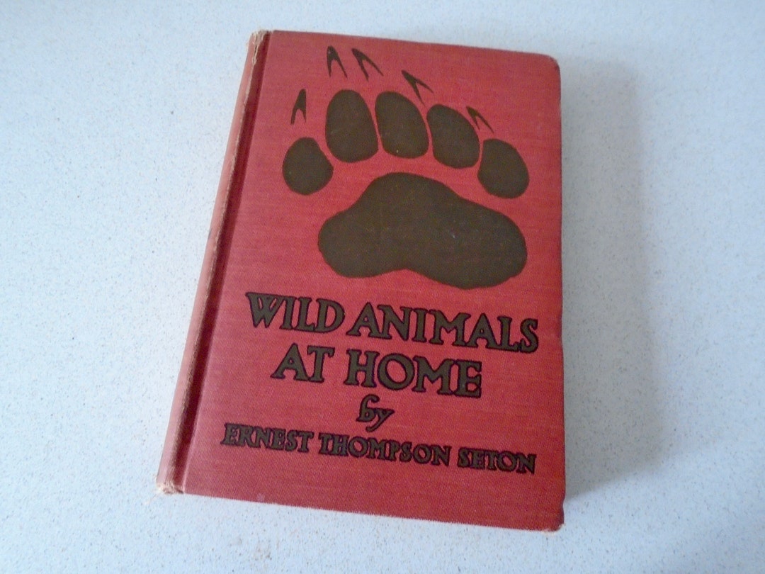1913 Ernest Thompson Seton Wild Animals at Home Nature Animals Line ...