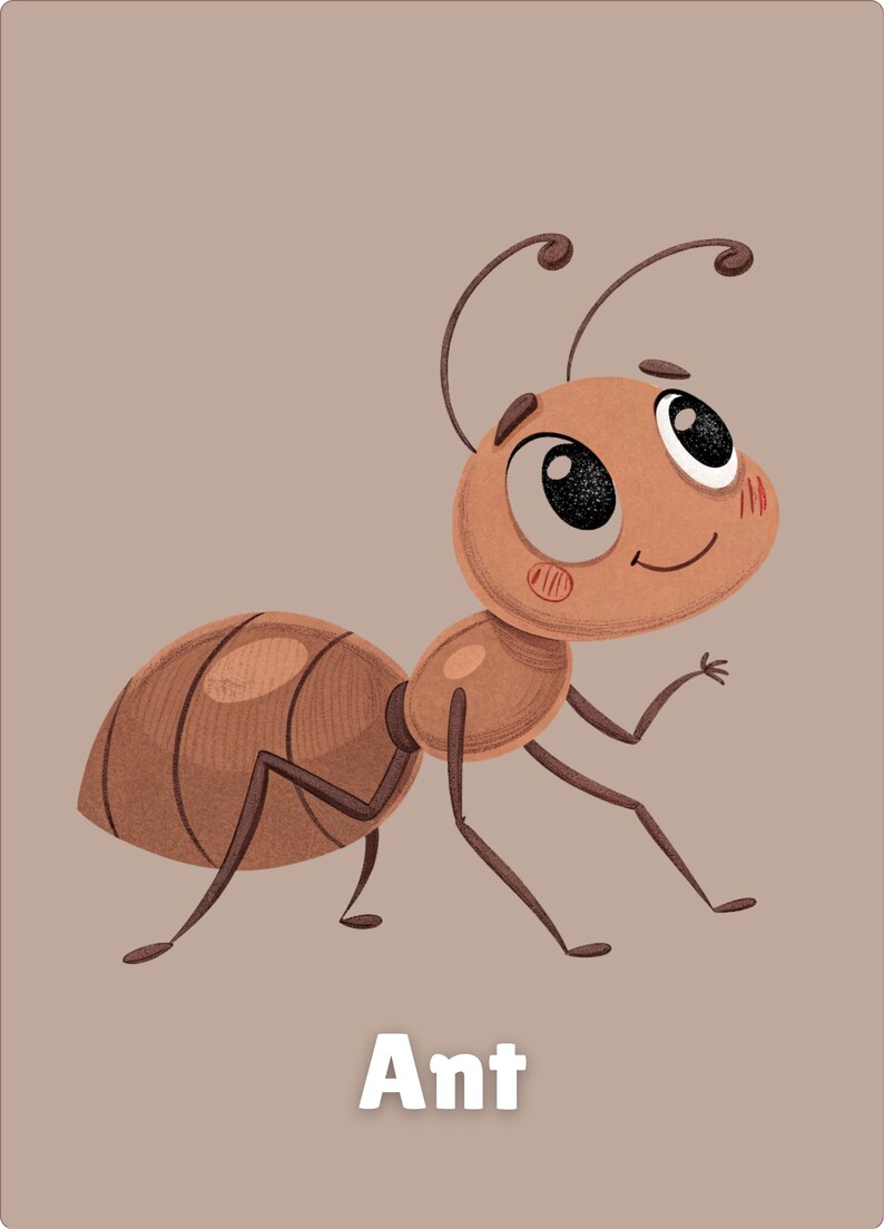 Animal Recognition Flash Cards for Kids : Preschool and Montessori ...